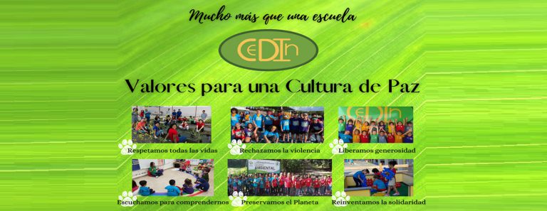 Valores - CEDIN Cedin